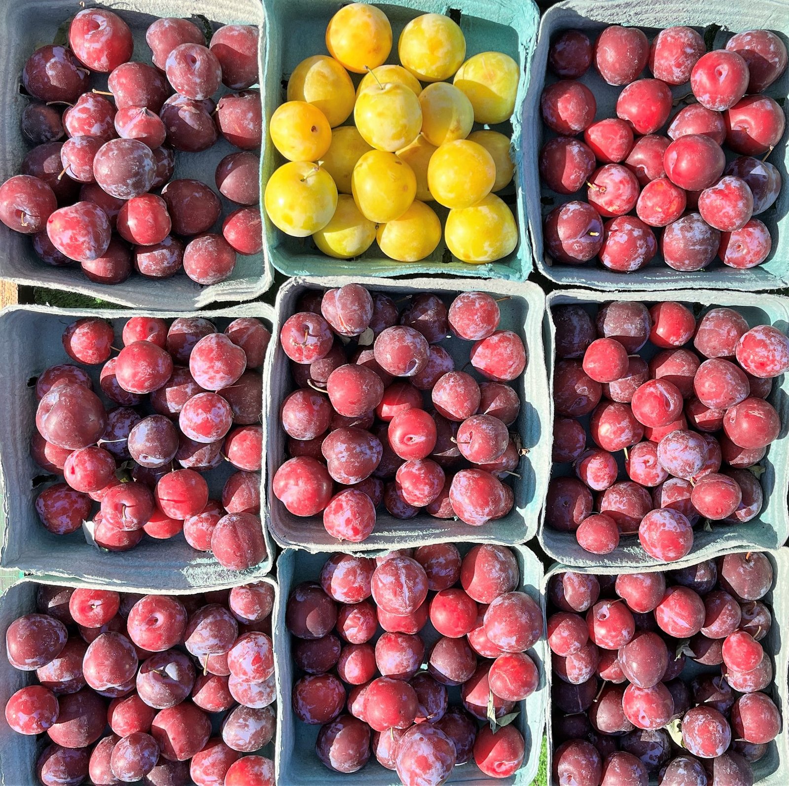 Spiced Plum Jam With Walnuts And Brandy - Canning Recipe