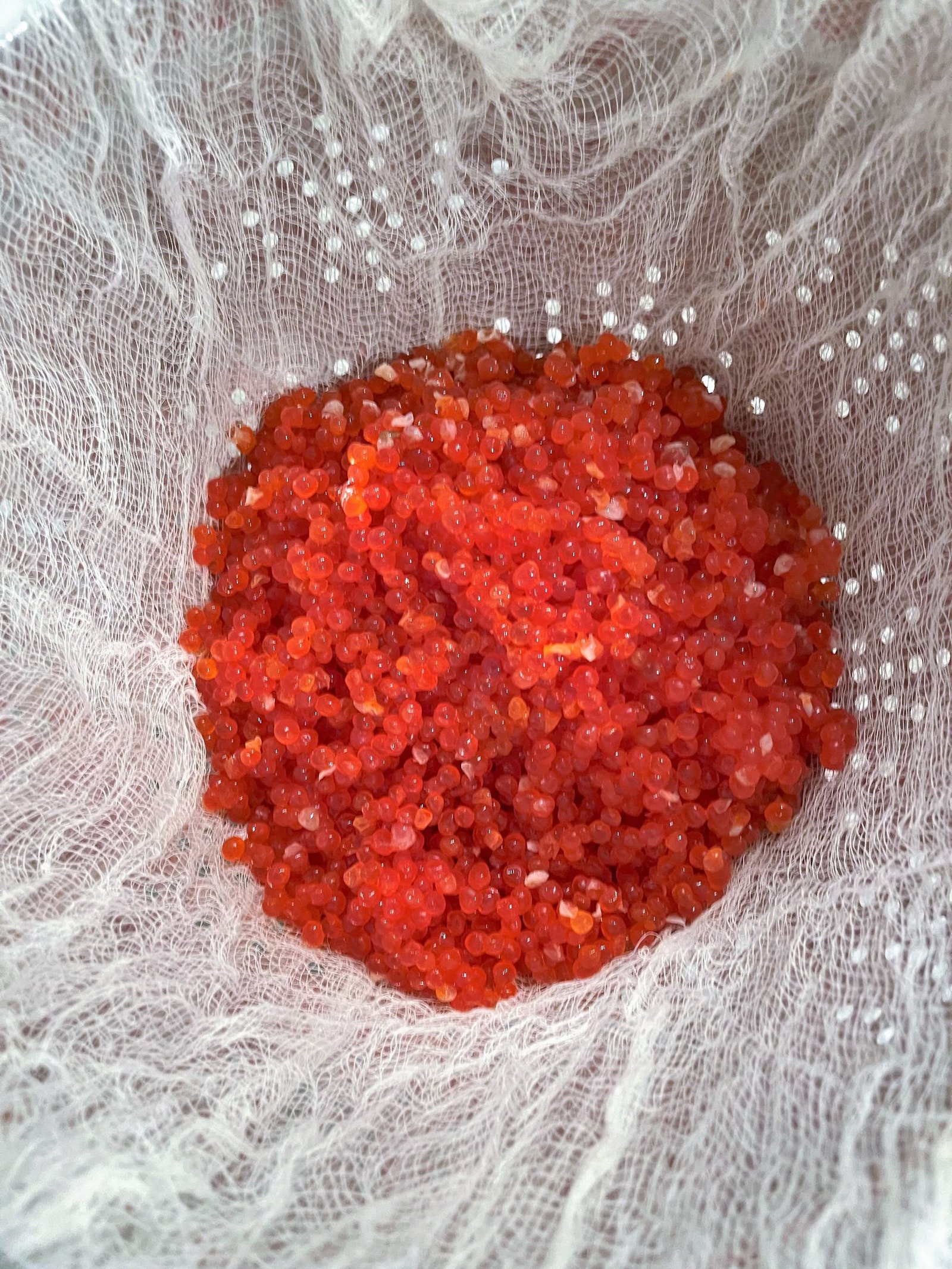 How To Salt-Cure Salmon Roe And Make Ikura Caviar