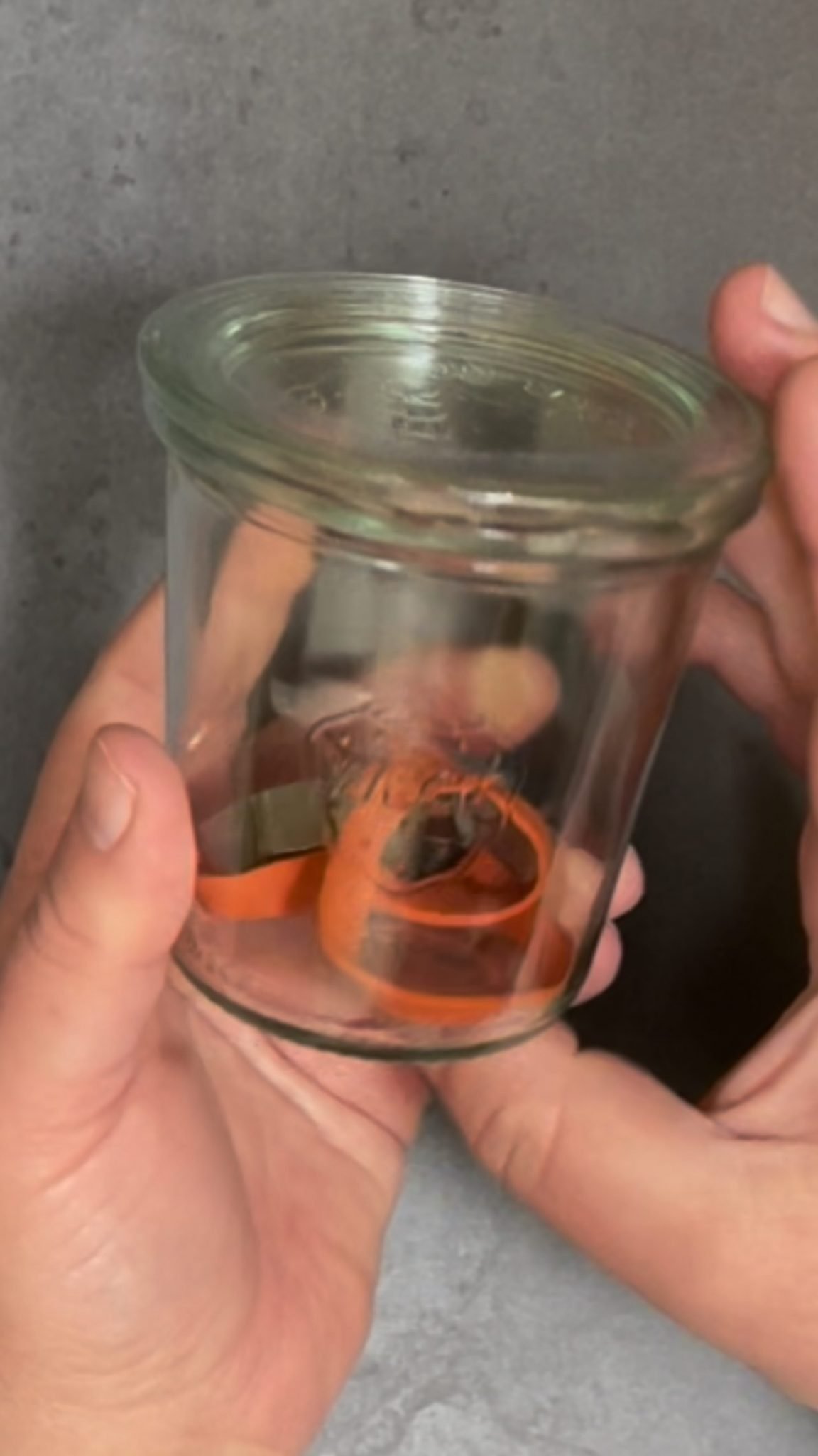 What Are The WECK Jars, And How To Use Them For Canning