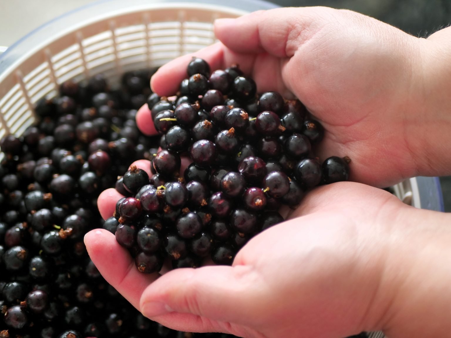 Low-sugar Blackcurrant Jam Recipe With Just Three Ingredients