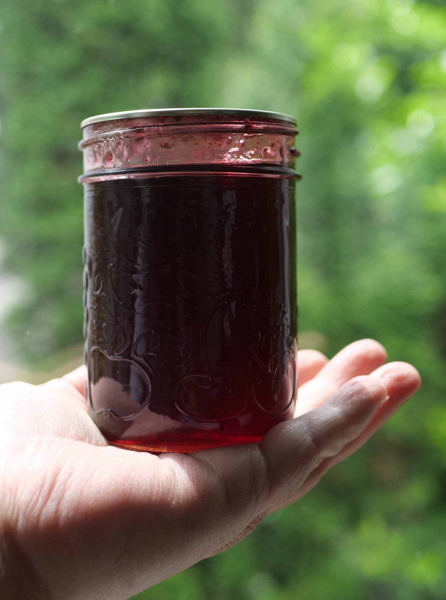 How To Make And Preserve Blackcurrant Syrup At Home