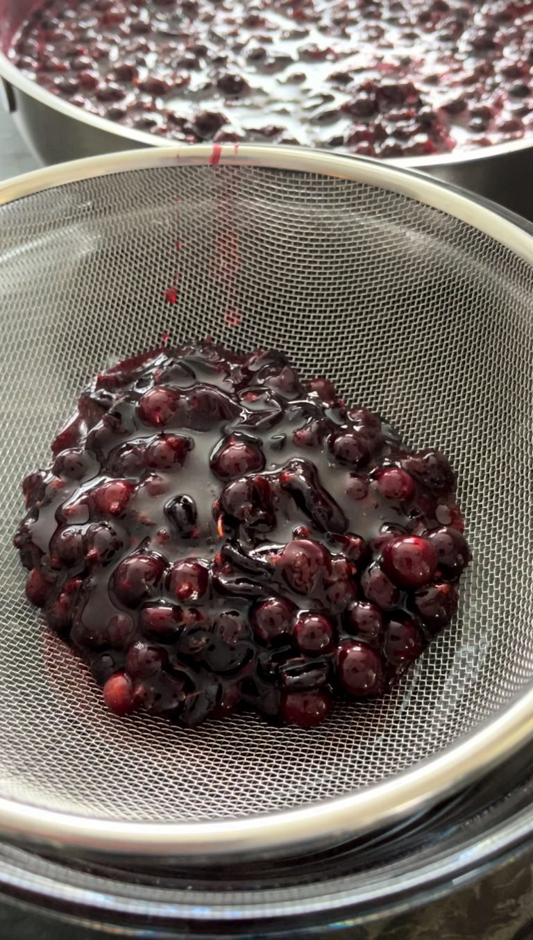How To Make And Preserve Blackcurrant Syrup At Home