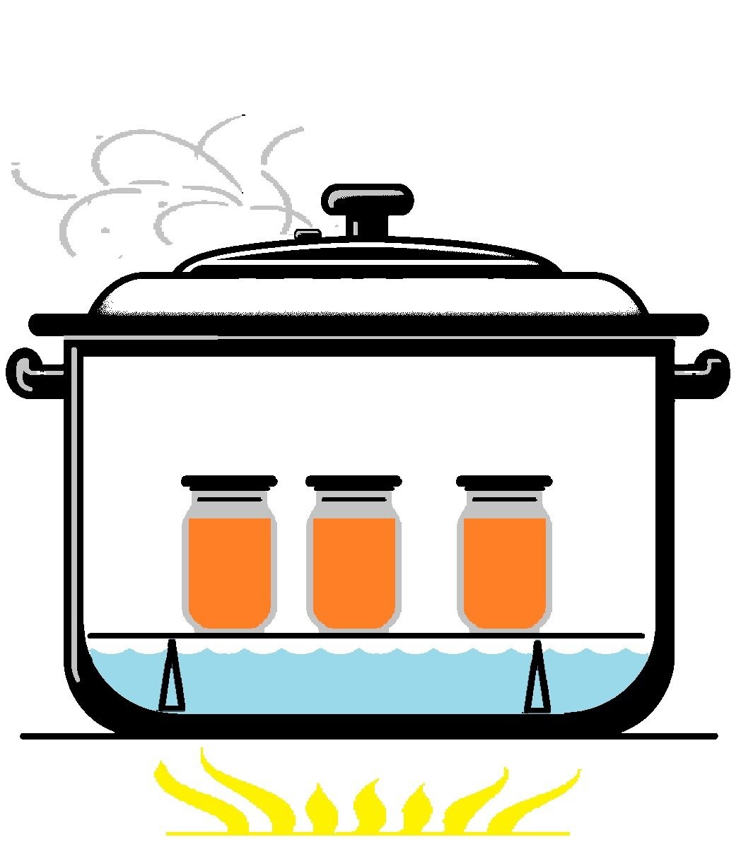 A beginners guide to steam canning at home