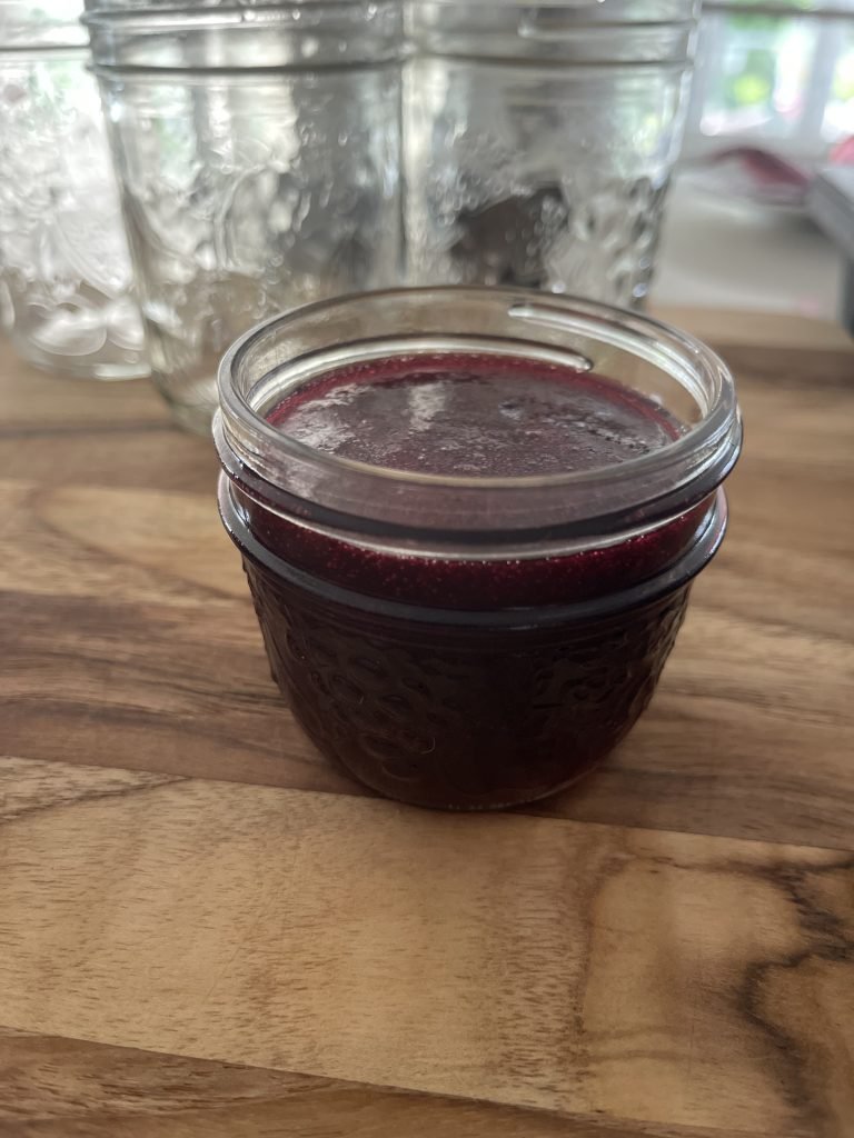 How To Make And Can Blackcurrant Jostaberry Jelly