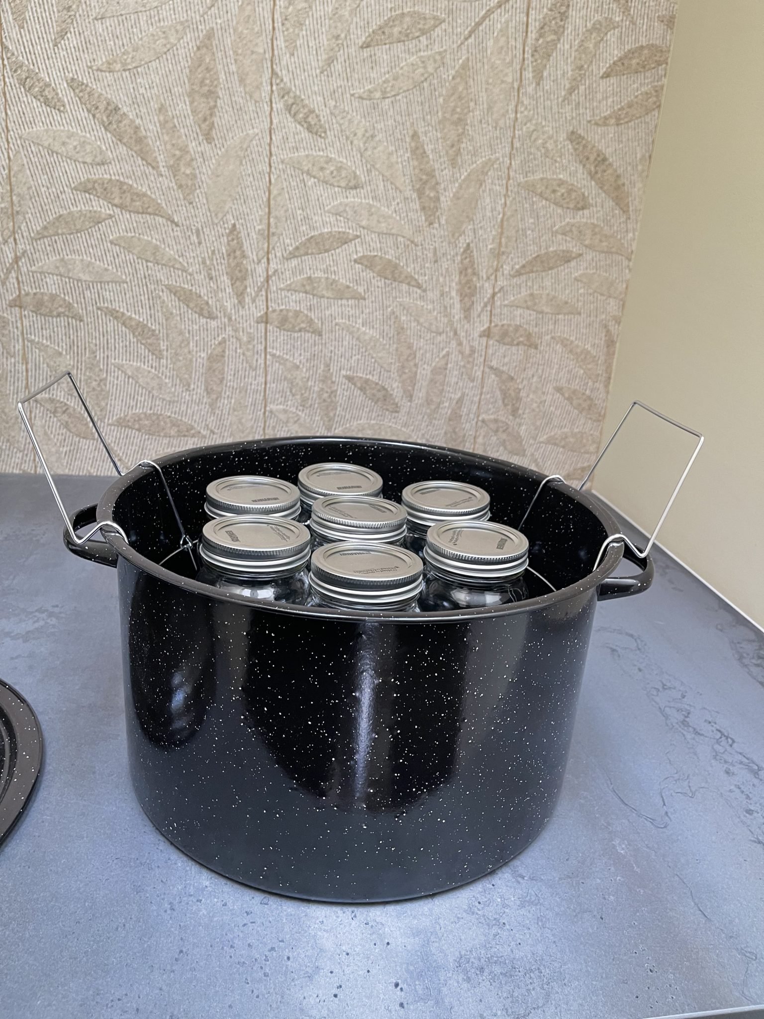 Why Steam Canning Method Is Better Than Water Bath Canning