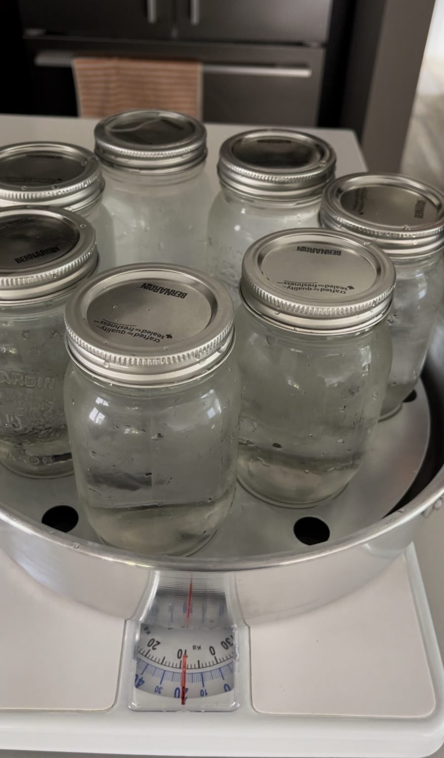A beginners guide to steam canning at home