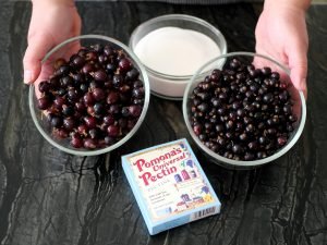 How To Make And Can Blackcurrant Jostaberry Jelly