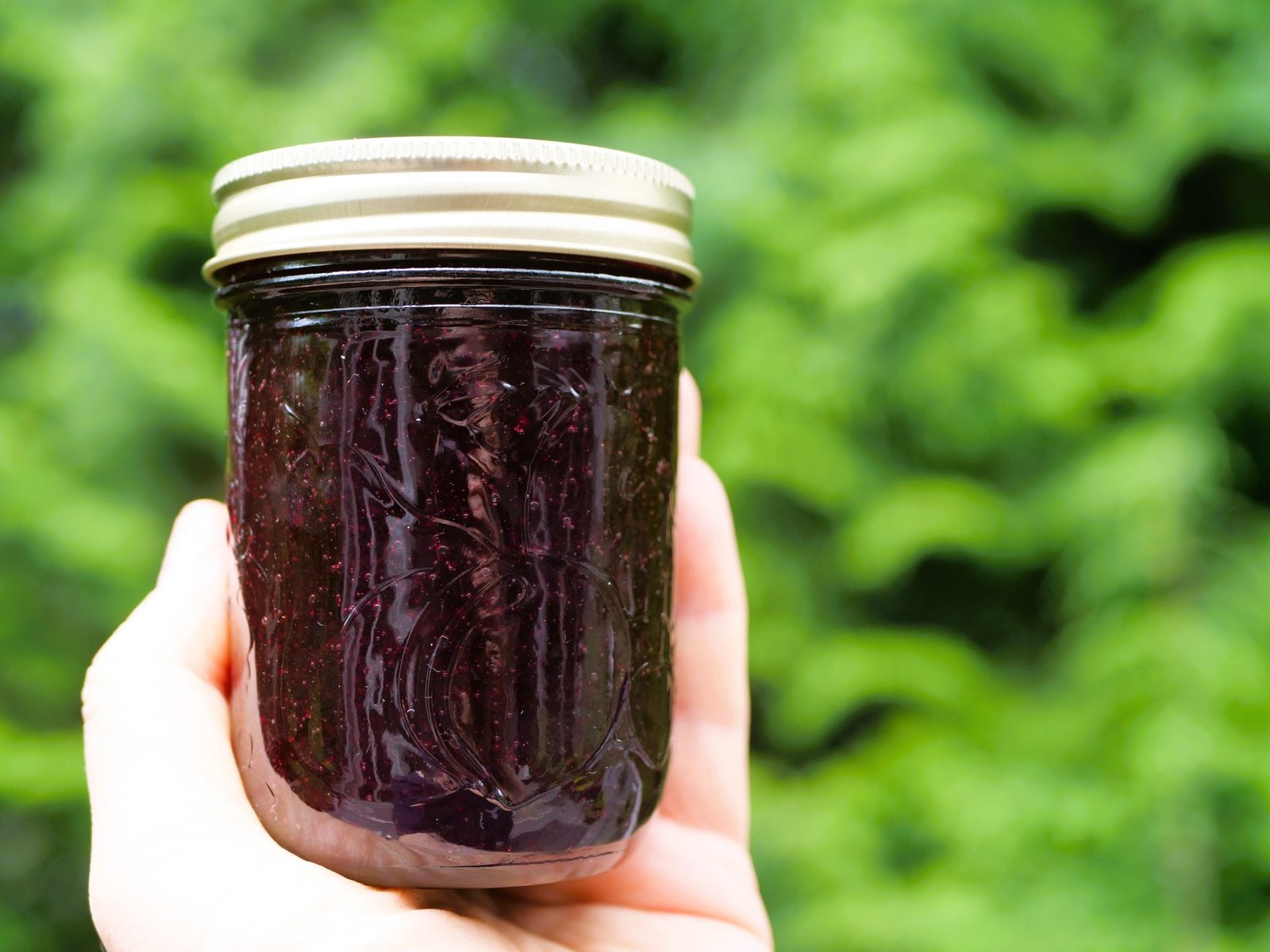 Low-sugar Blackcurrant Jam Recipe With Just Three Ingredients
