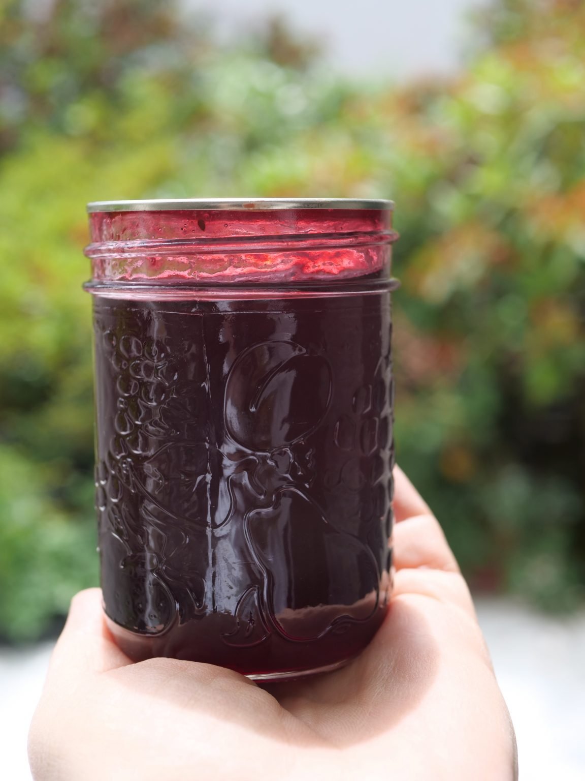 How To Make And Can Blackcurrant Jostaberry Jelly