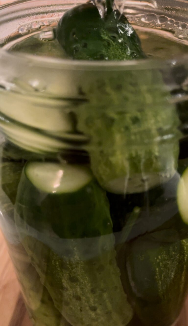 Spicy Dill Pickles Recipe For Open Kettle Canning Method